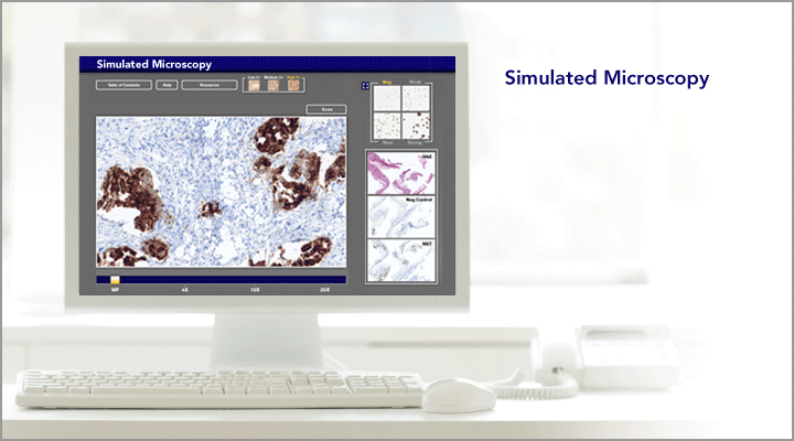 Game Changing Interactive Digital Microscopy Learning System